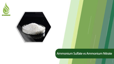 Comparison of Ammonium Sulfate and Ammonium Nitrate