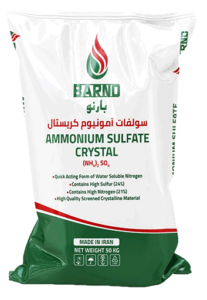 Why Does a Tree Produce Sap and How to Manage Leaking?