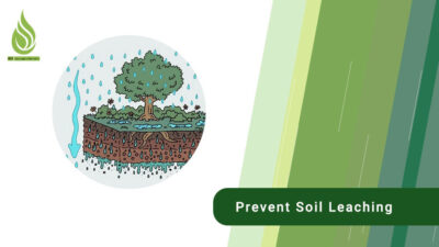 What is Soil Nutrient Leaching & How to Prevent It?