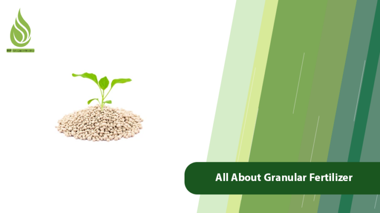All About Granular Fertilizer: Features, Benefits, and Uses