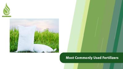 What Are the Most Commonly Used Fertilizers in Agriculture?